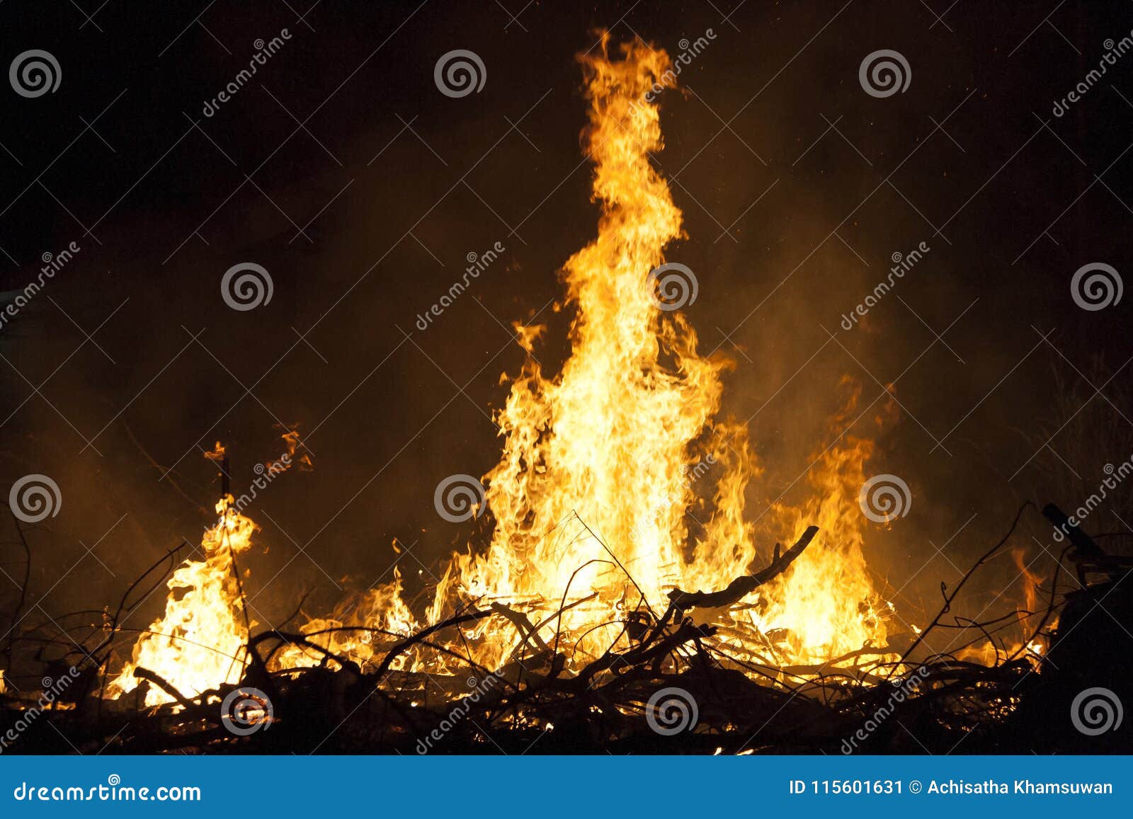Fire Flame, Burning Stick of Tree on the Night. Stock Image - Image of ...