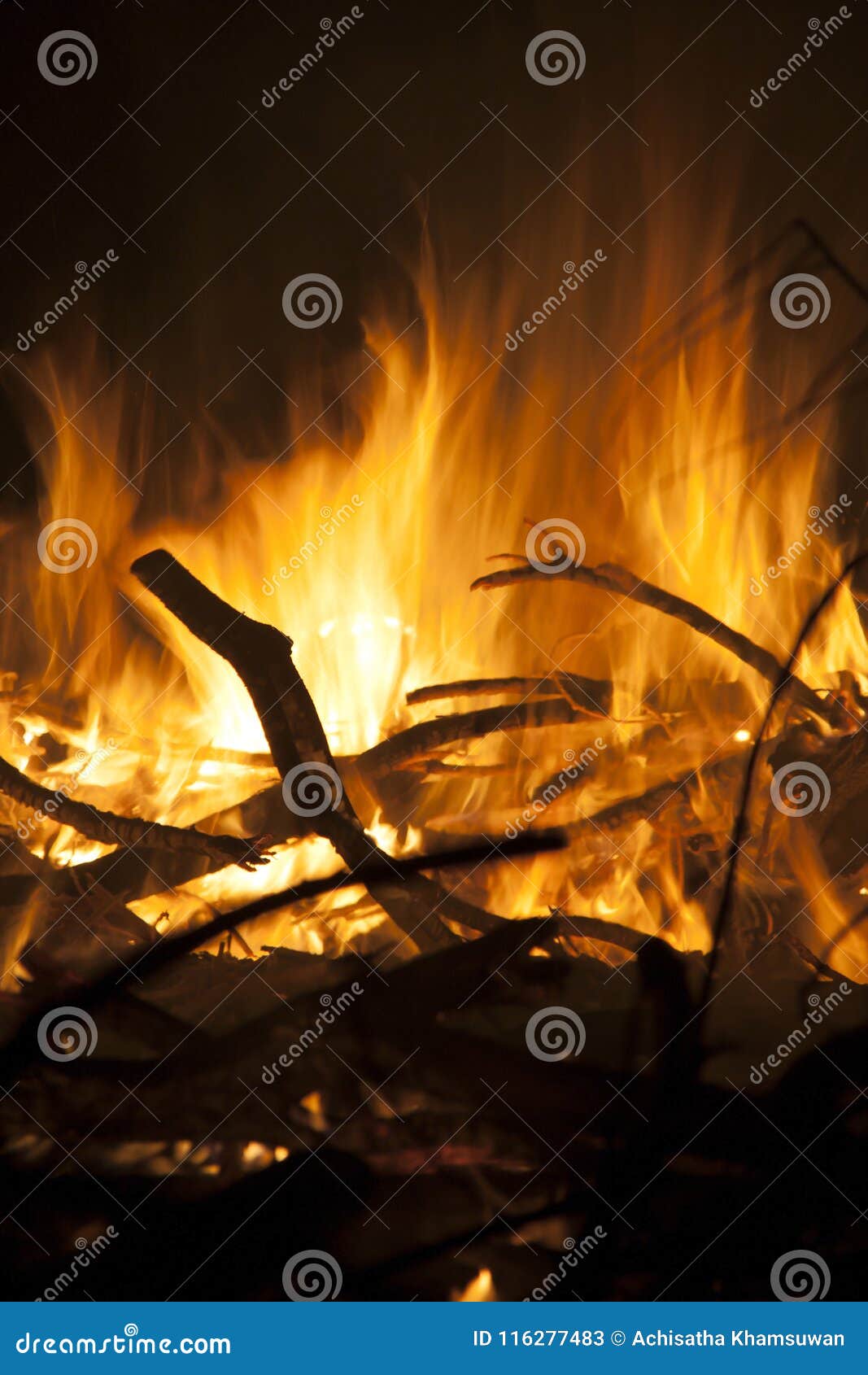 Fire Flame, Burning Stick of Tree on the Night. Stock Image - Image of ...
