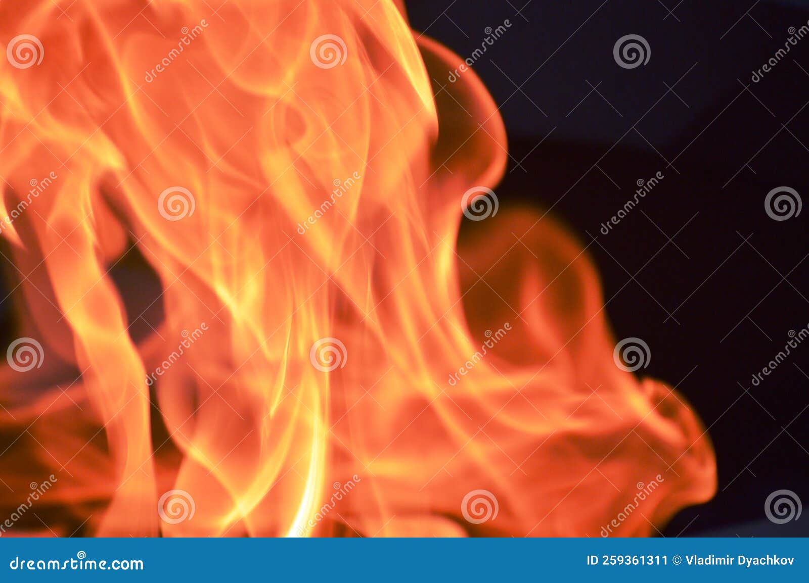 Fire flame stock image. Image of nature, power, flames - 259361311