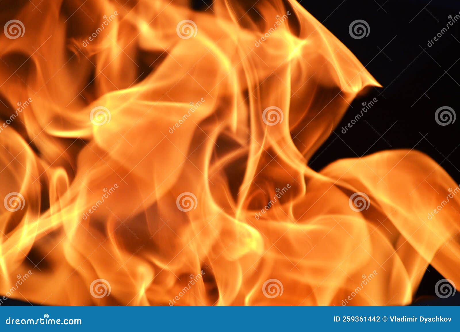 Fire flame stock photo. Image of grill, broil, smoke - 259361442