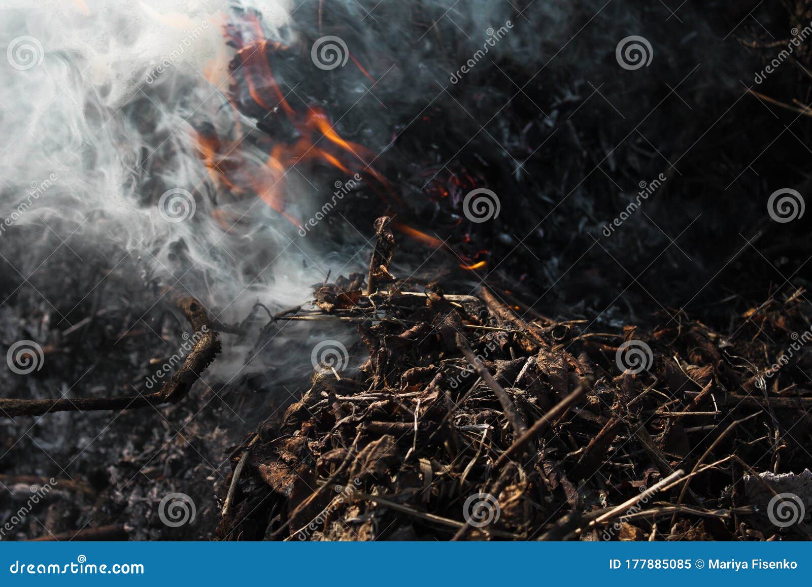 Fire, Flame and Smoke of a Fire, Bonfire on Earth Stock Image - Image ...