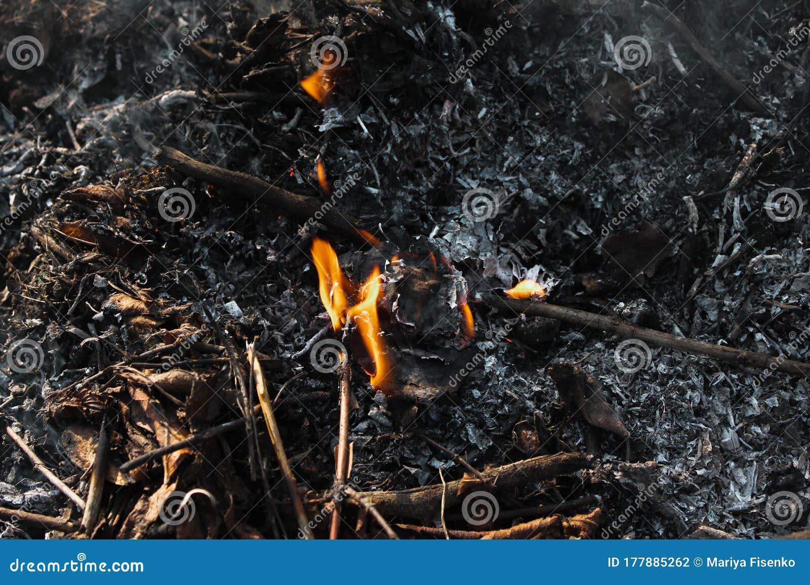 Fire, Flame and Smoke of a Fire, Bonfire on Earth Stock Photo - Image ...