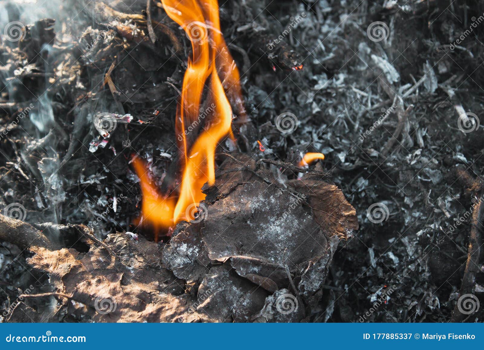 Fire, Flame and Smoke of a Fire, Bonfire on Earth Stock Image - Image ...