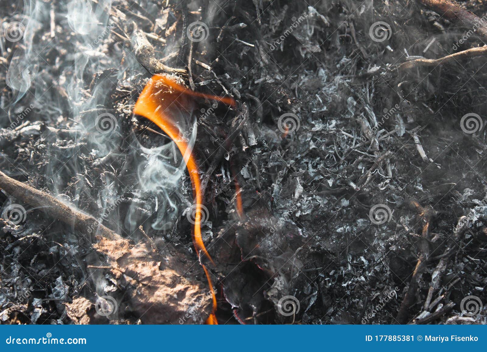 Fire, Flame and Smoke of a Fire, Bonfire on Earth Stock Image - Image ...