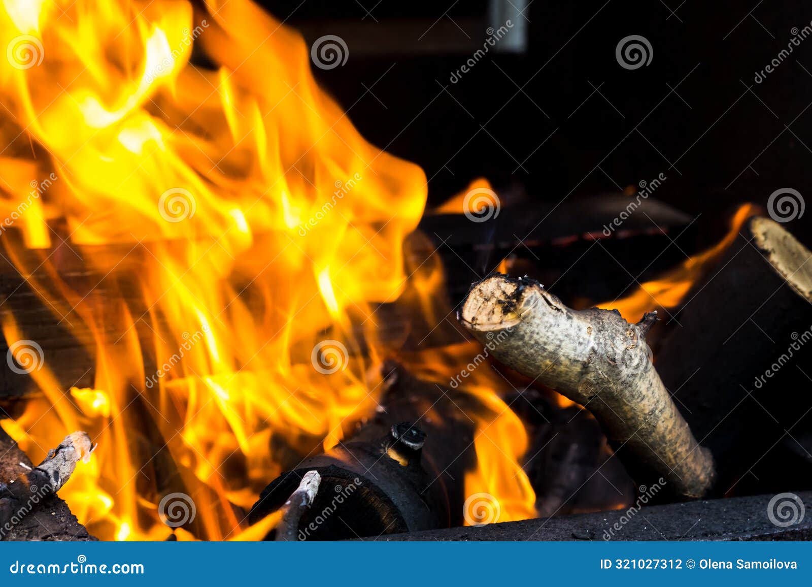 Fire Flame of a Tree. Burning Tree. Stock Photo - Image of hazard ...