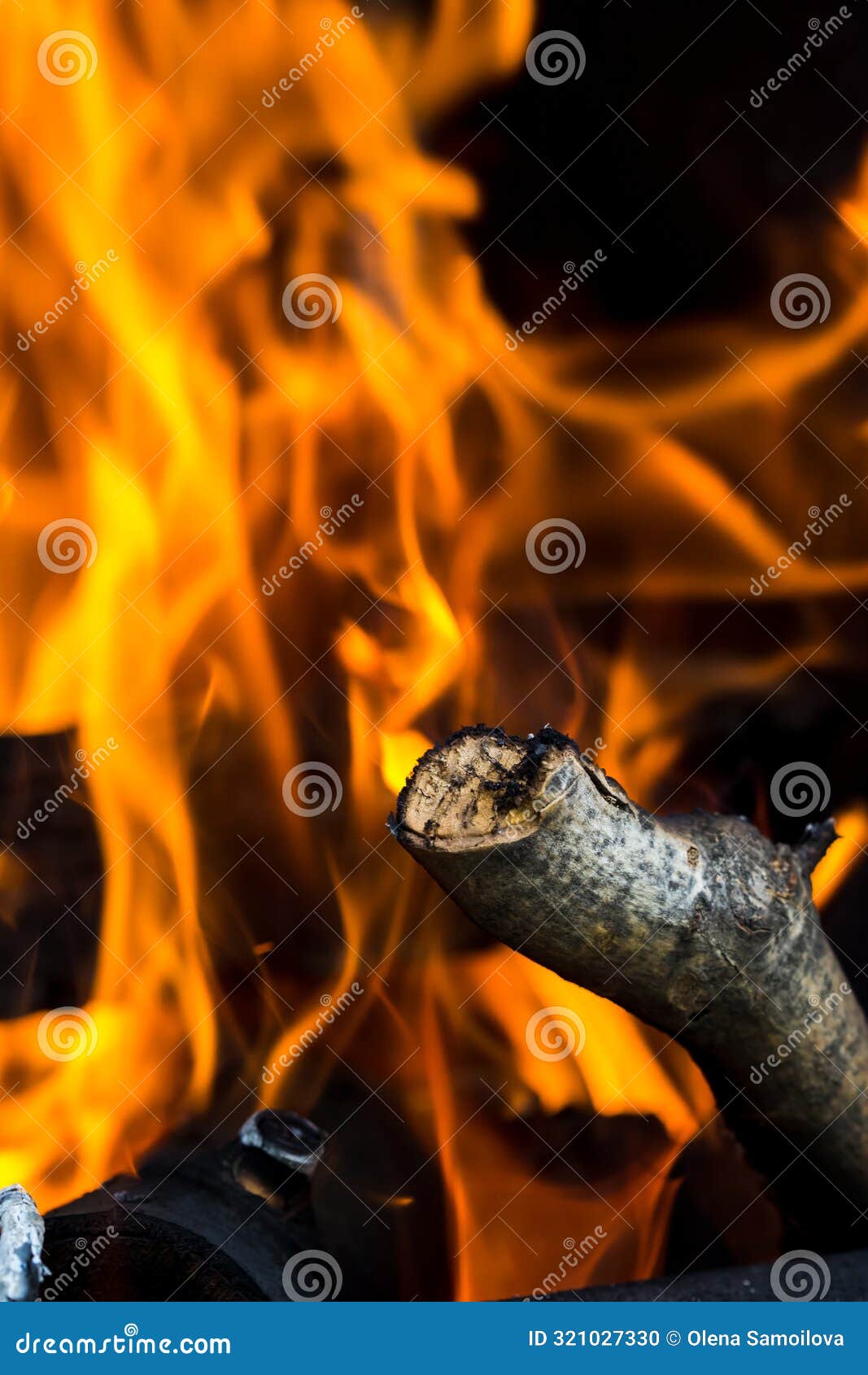Fire Flame of a Tree. Burning Tree. Stock Photo - Image of dark, heat ...