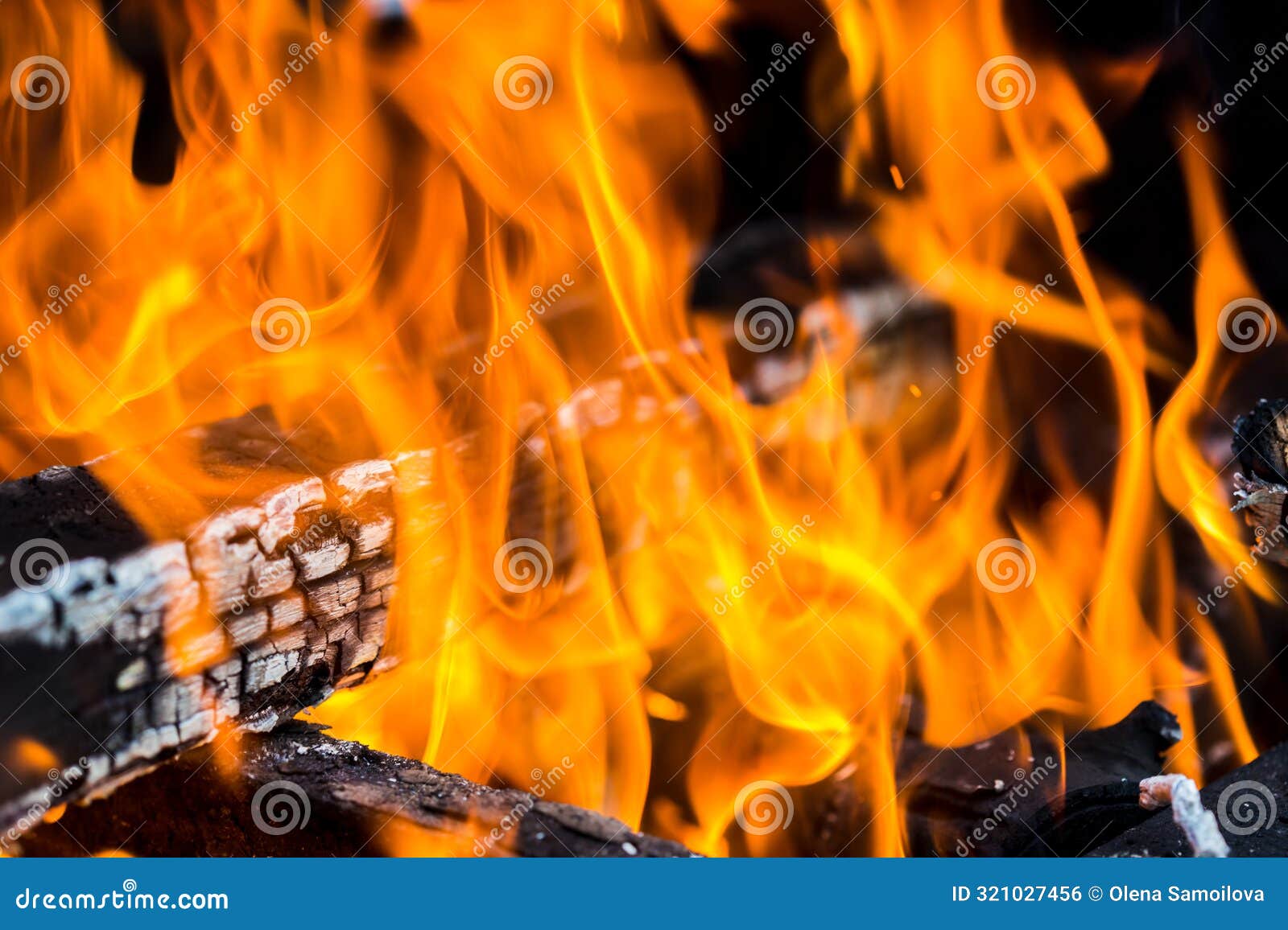 Fire Flame of a Tree. Burning Tree. Stock Photo - Image of danger, tree ...