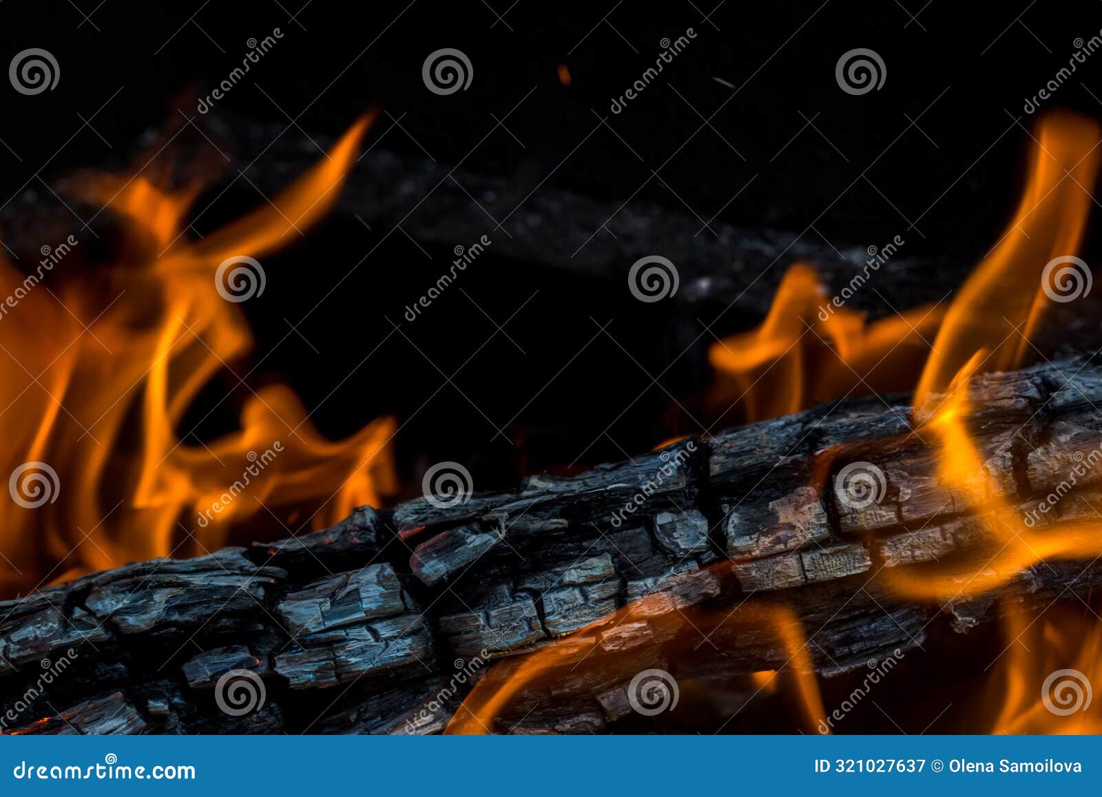 Fire Flame of a Tree. Burning Tree. Stock Image - Image of damage ...