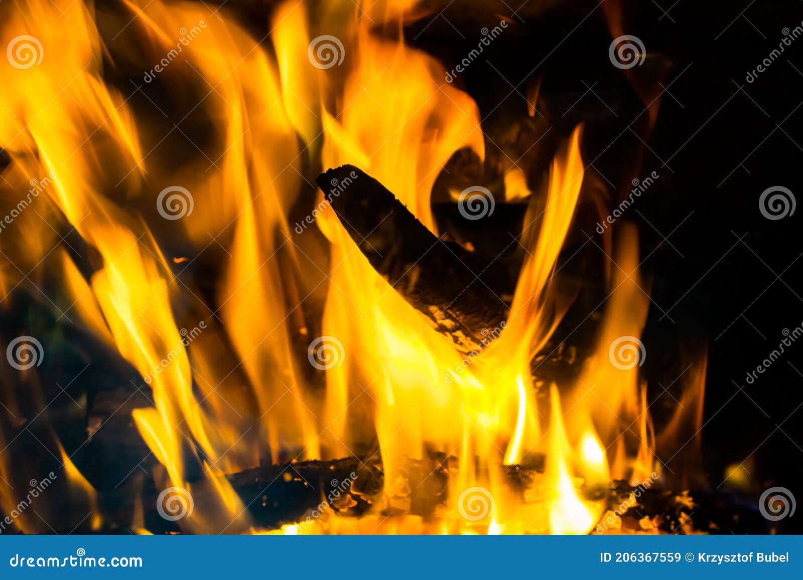 Fire Flame of a Tree. Burning Tree Stock Image - Image of blaze, night ...