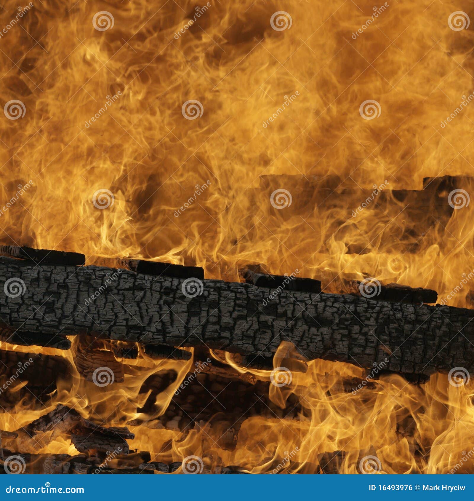 Fire Flames stock photo. Image of licking, extreme, destruction - 16493976