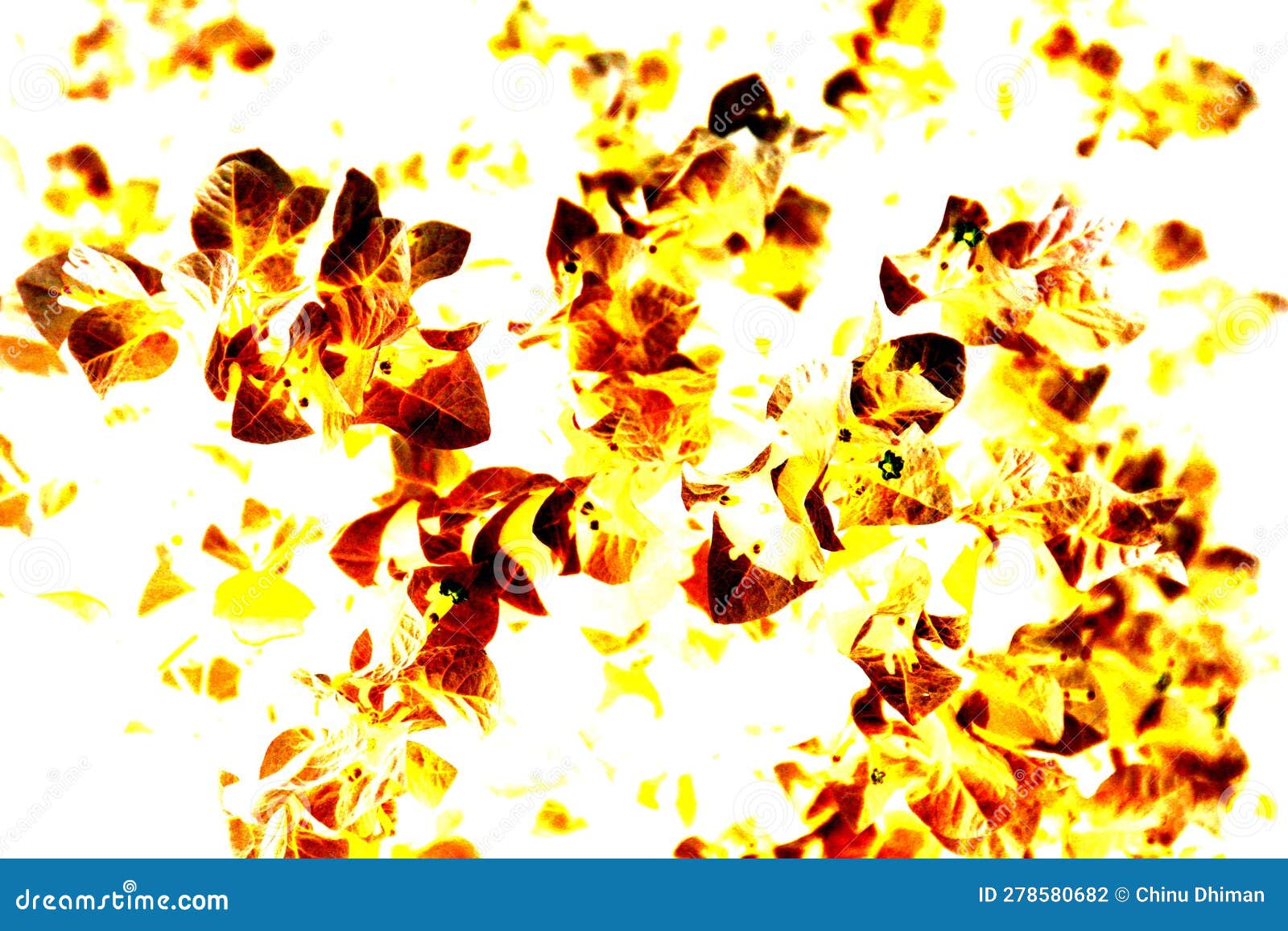 Fire Flames Background Gold Flower Abstract Seamless and Repeat ...
