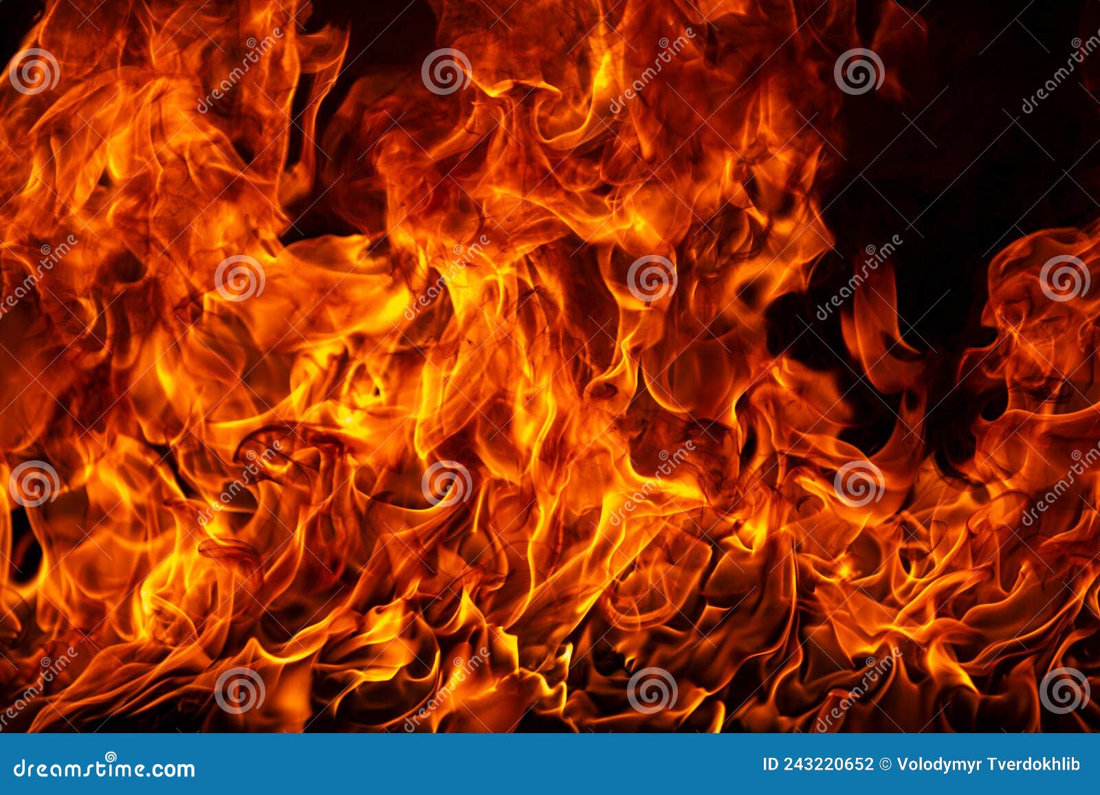 Fire Flames on Black Background. Fire Burn Flame Isolated, Abstract ...