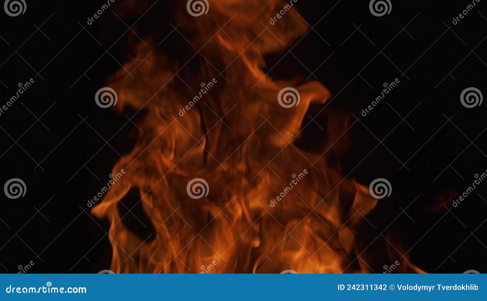 Fire Flames on Black Background. Fire Burn Flame Isolated, Abstract ...