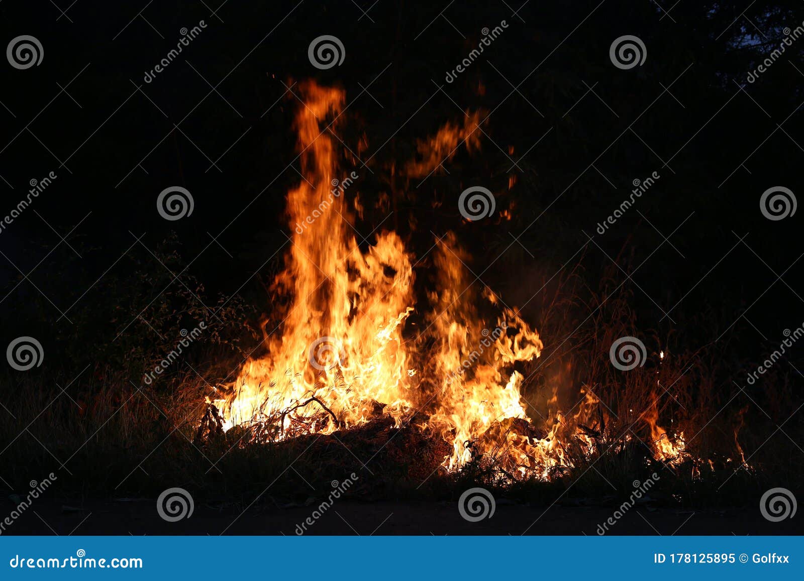Fire Flames Burning Grass on a Black Background Stock Image - Image of ...