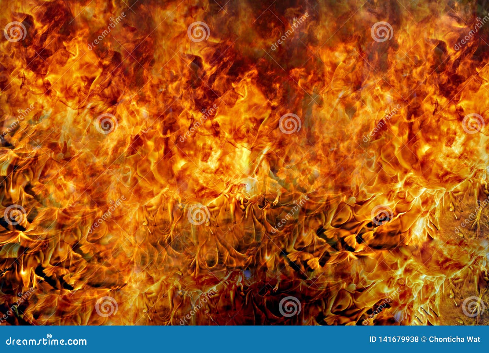 Fire flames burning stock photo. Image of danger, flaming - 141679938