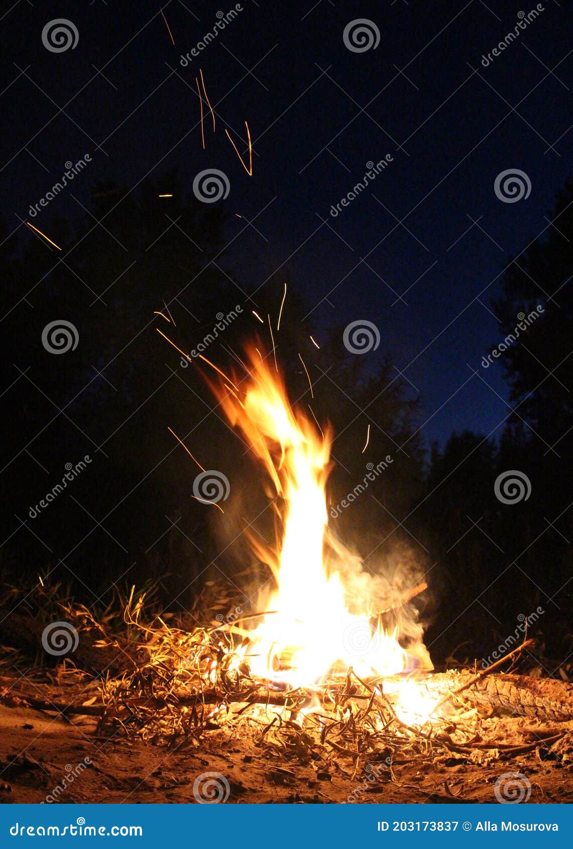 Fire Flames Fire Burns at Night Along with Sparks Stock Image - Image ...