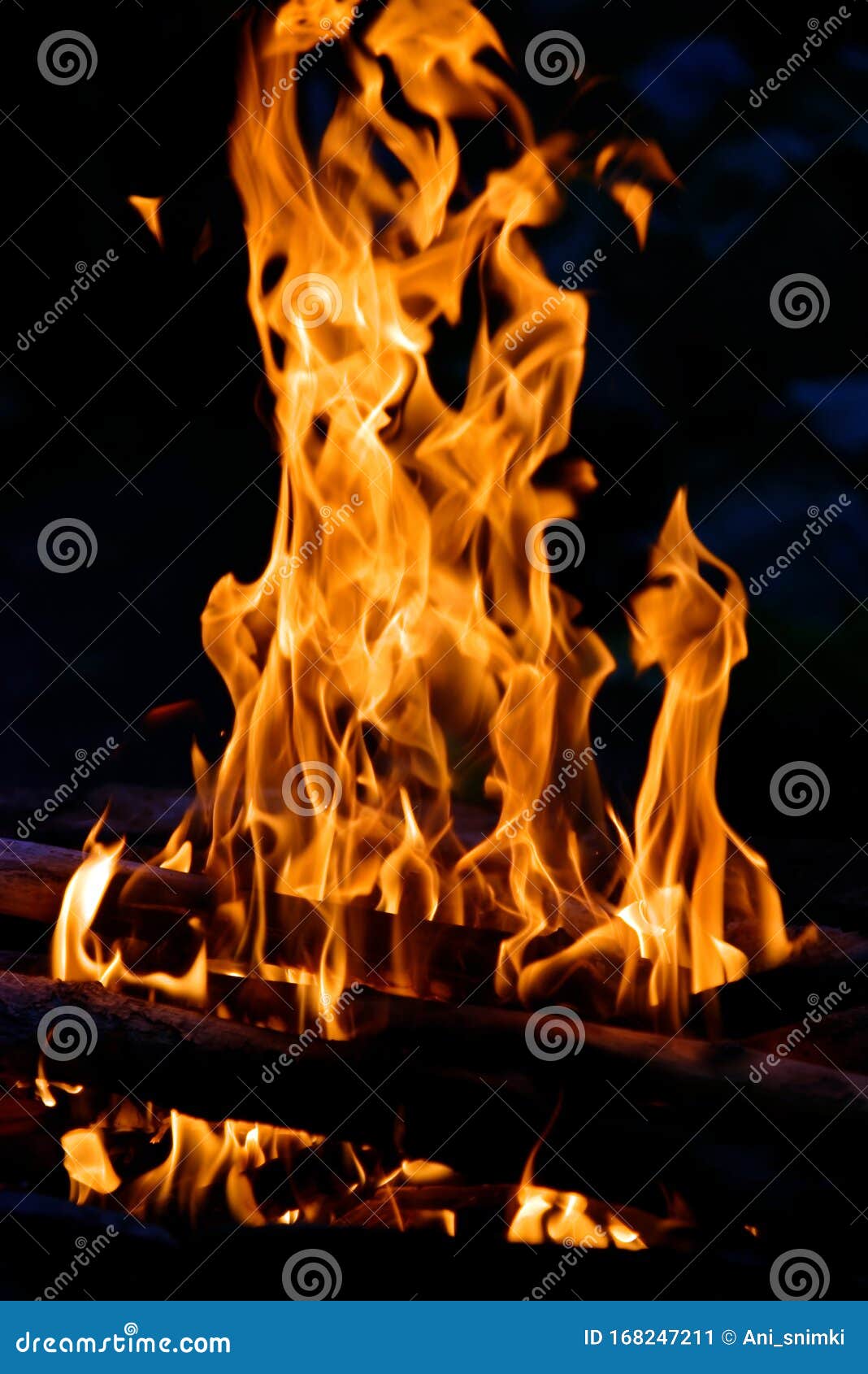 Fire flames. Camp fire. stock image. Image of flaming - 168247211