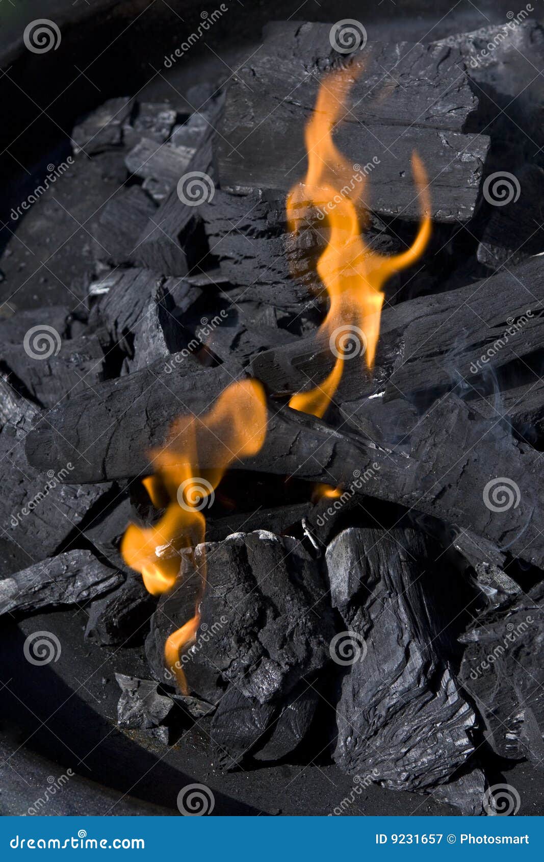 Fire flames and coal stock image. Image of burn, burning - 9231657