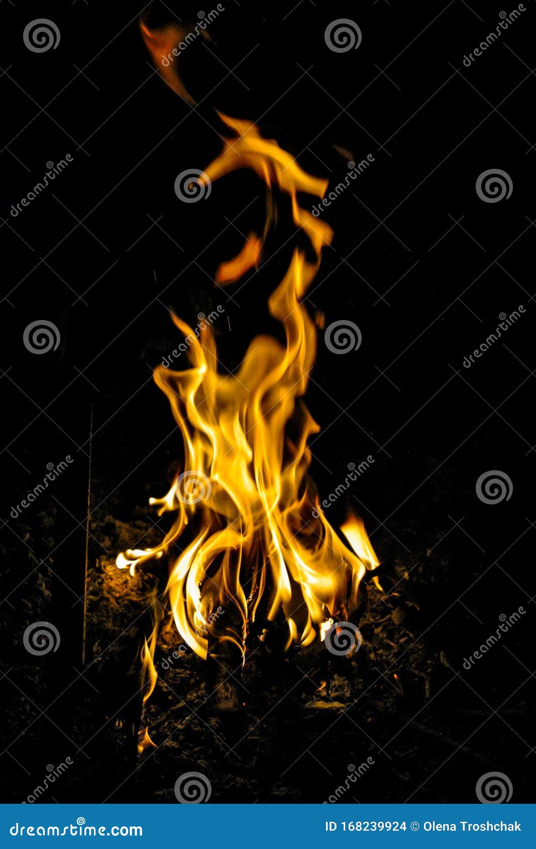 Fire Flames in the Dark Image of a Campfire at Night Isolated on the ...