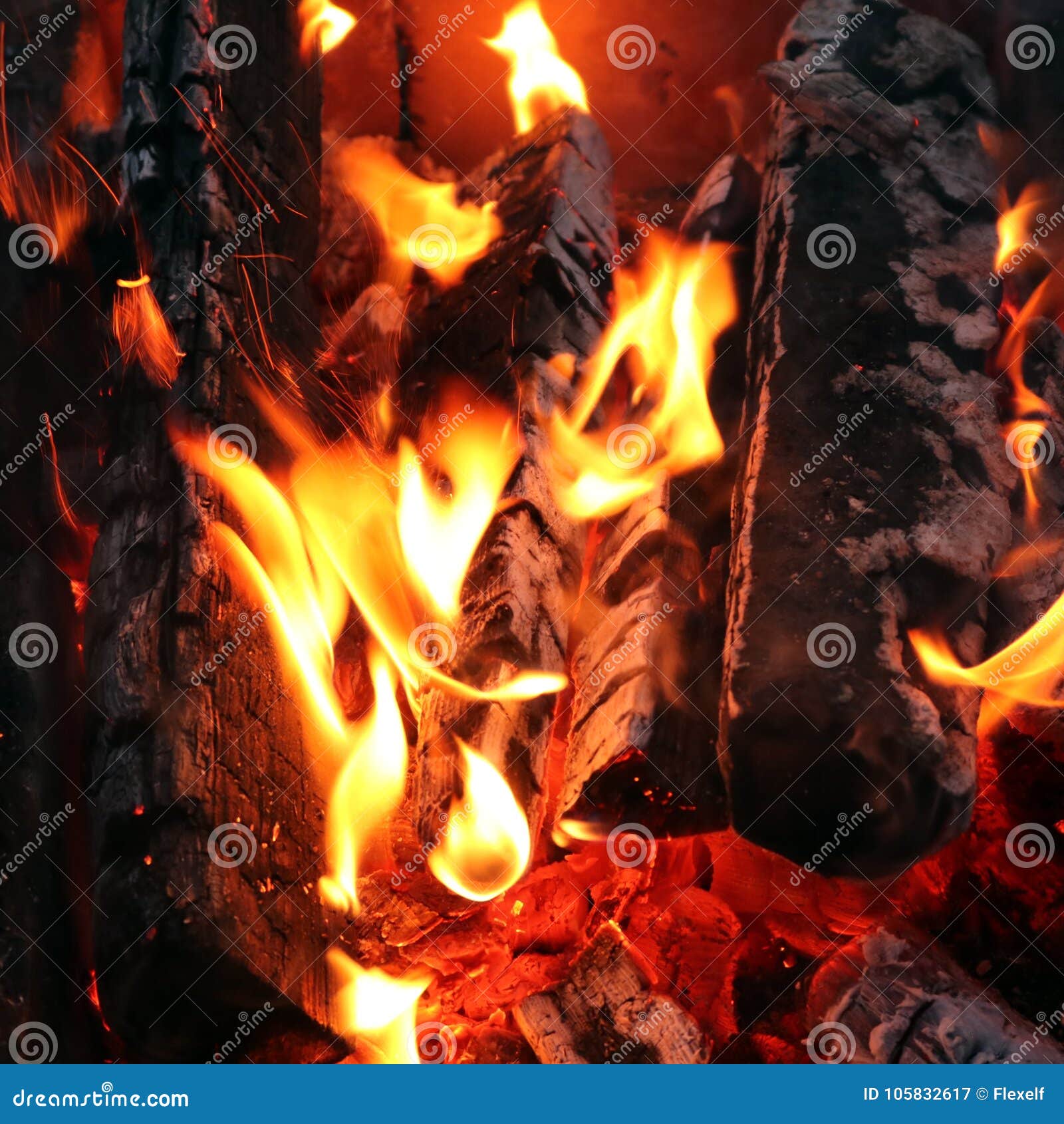 The fire flames. stock image. Image of flames, camping - 105832617
