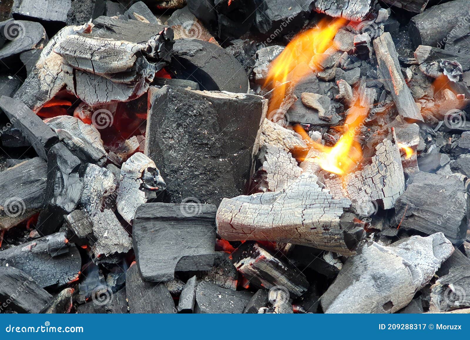 Fire Flames from Burning Coal Stock Image - Image of barbecue, seafood ...