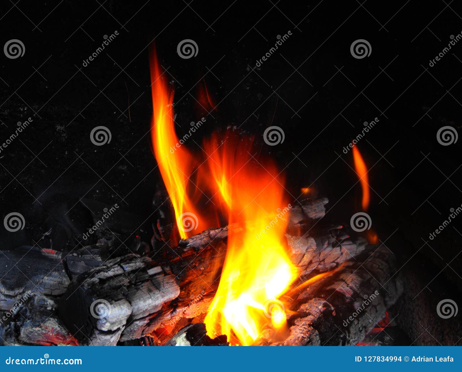 Fire and flames on a log stock photo. Image of ashes - 127834994