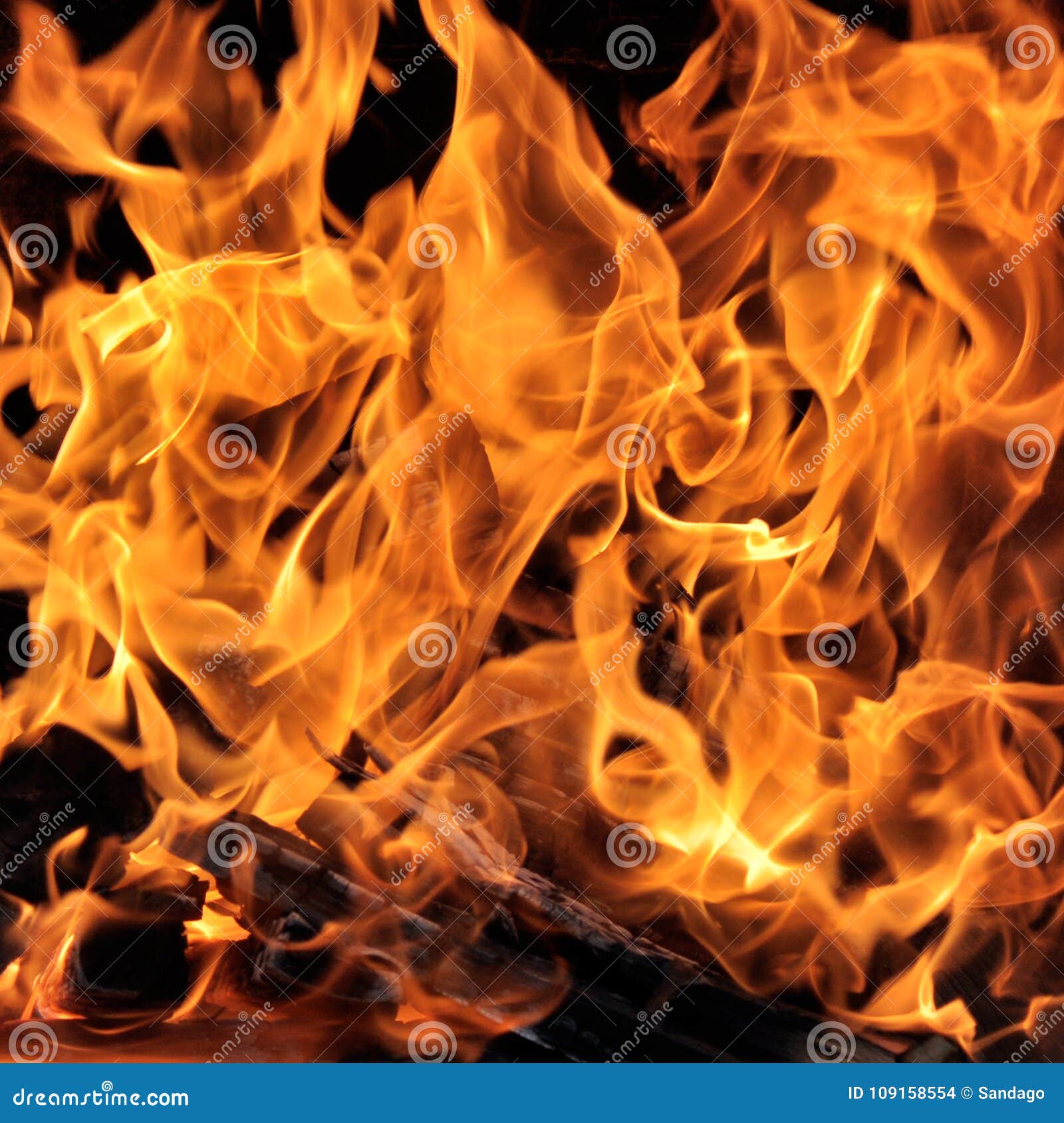Fire and burning log stock photo. Image of barbecue - 109158554