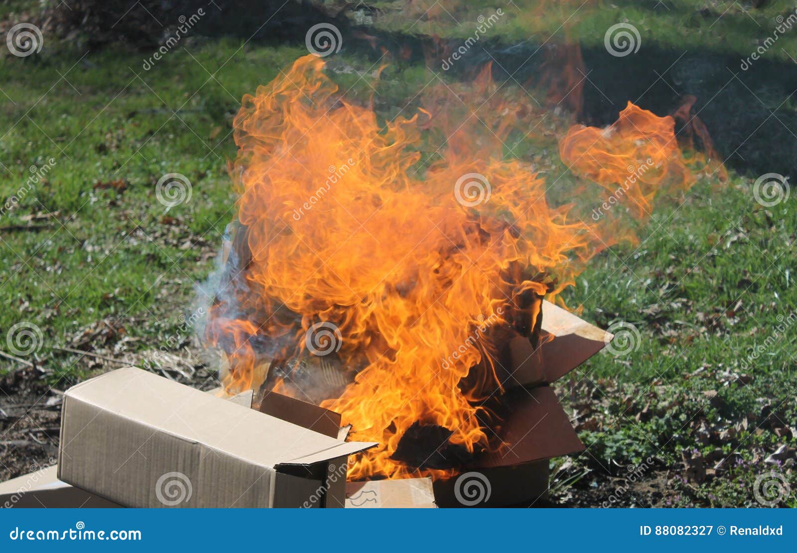 Fire stock image. Image of combustion, devouring, fire - 88082327
