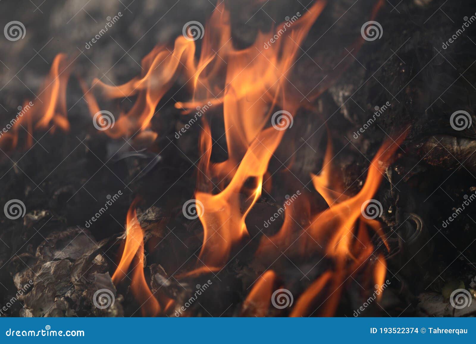 Fire flames and smoke stock photo. Image of cook, warm - 193522374