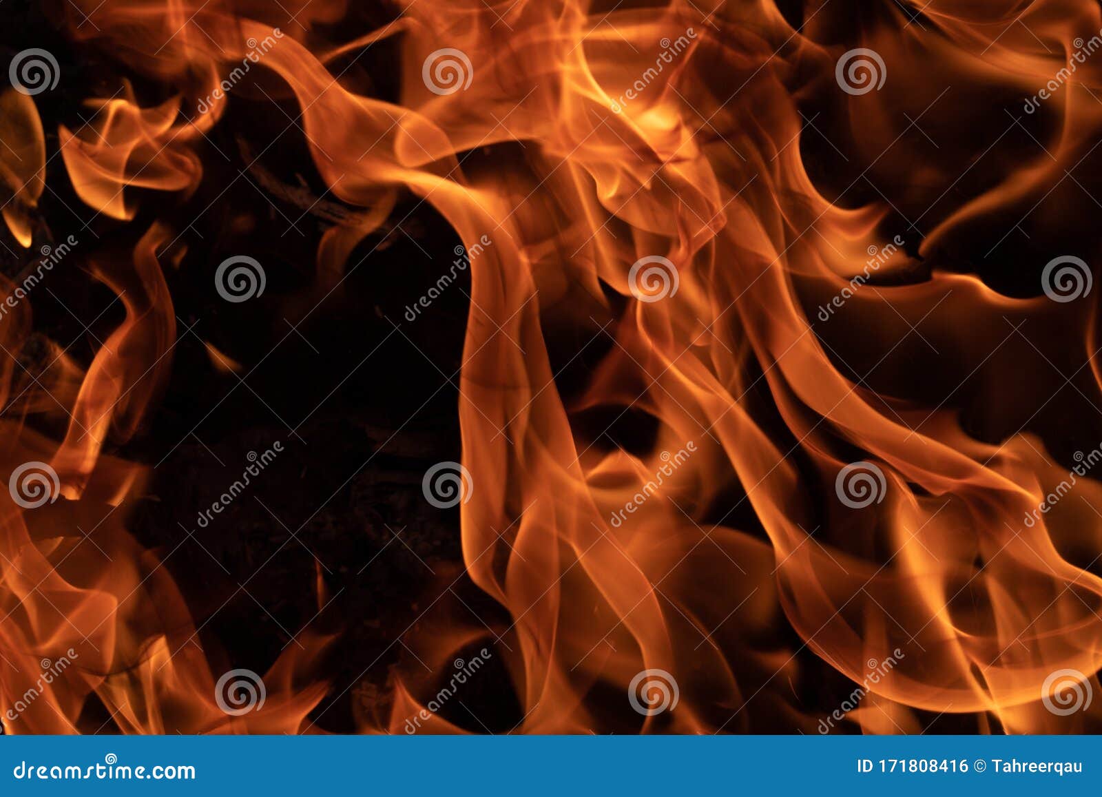 Fire flames and the smoke stock photo. Image of bush - 171808416