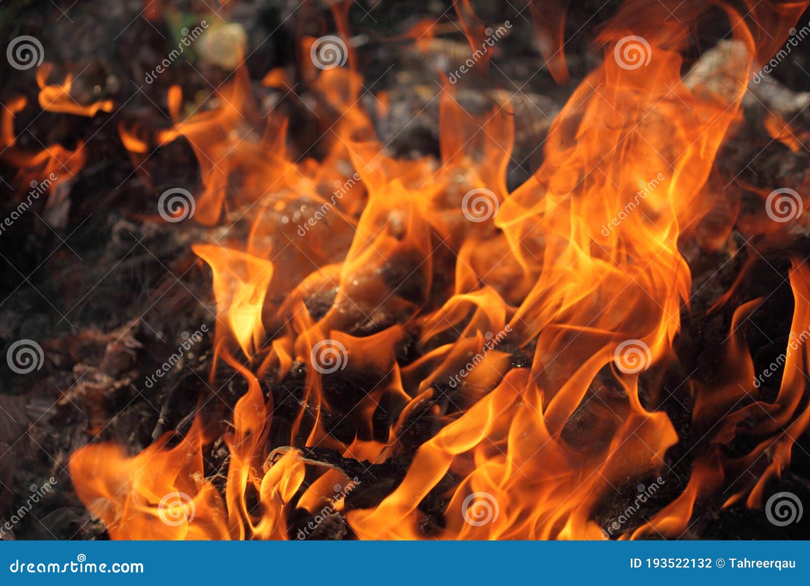 Fire flames and smoke stock photo. Image of warm, cooking - 193522132