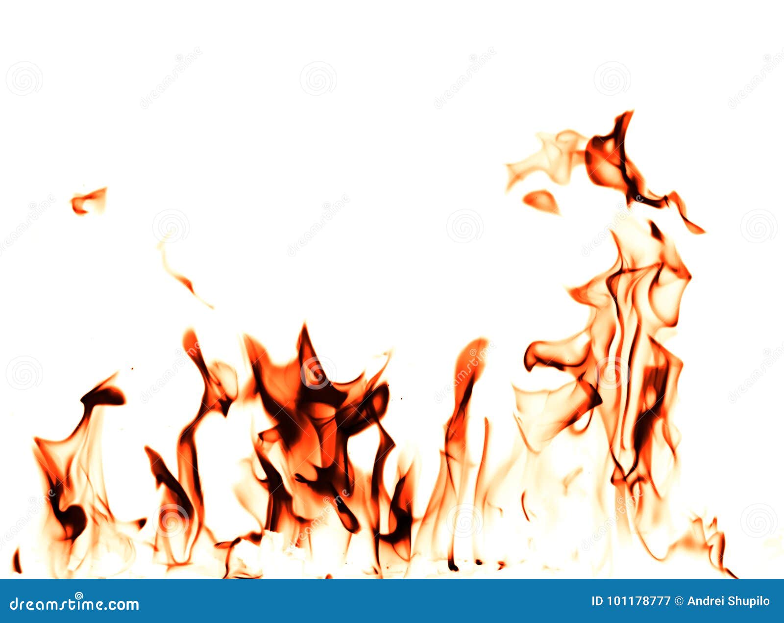 Fire Flames on a White Background Stock Image - Image of flame ...
