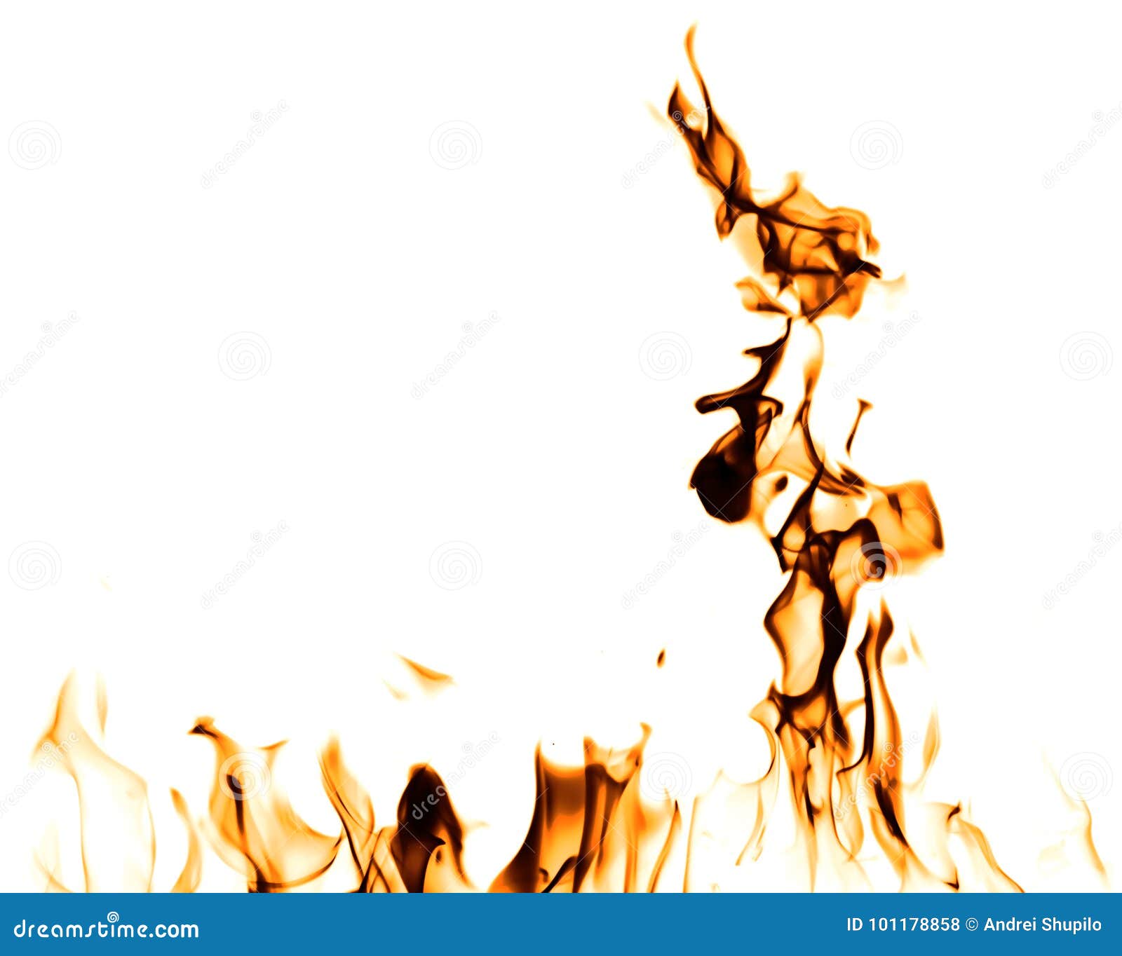 Fire Flames on a White Background Stock Photo - Image of burn, heat ...