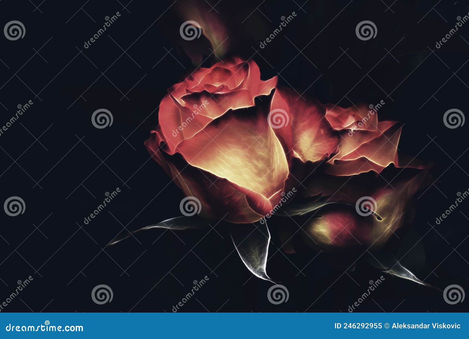 Lava rose flower stock image. Image of burn, rose, nature - 246292955