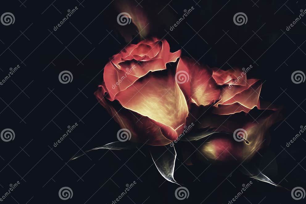Lava rose flower stock image. Image of burn, rose, nature - 246292955