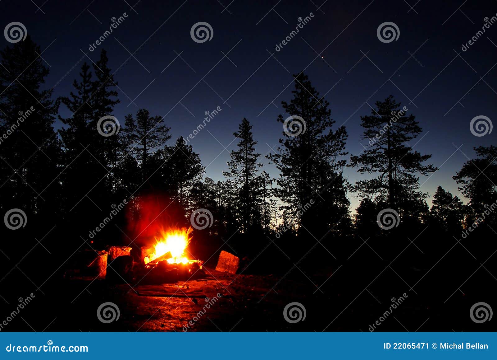 Fire in a forest stock image. Image of burning, holiday - 22065471