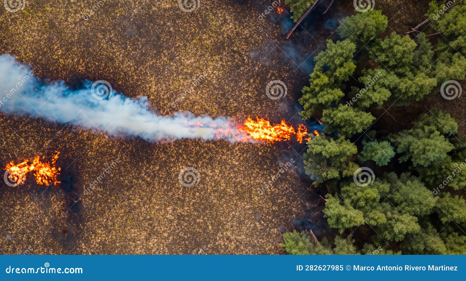 Fire in Forest Area Aerial View in High Resolution and Sharpness. Fire ...