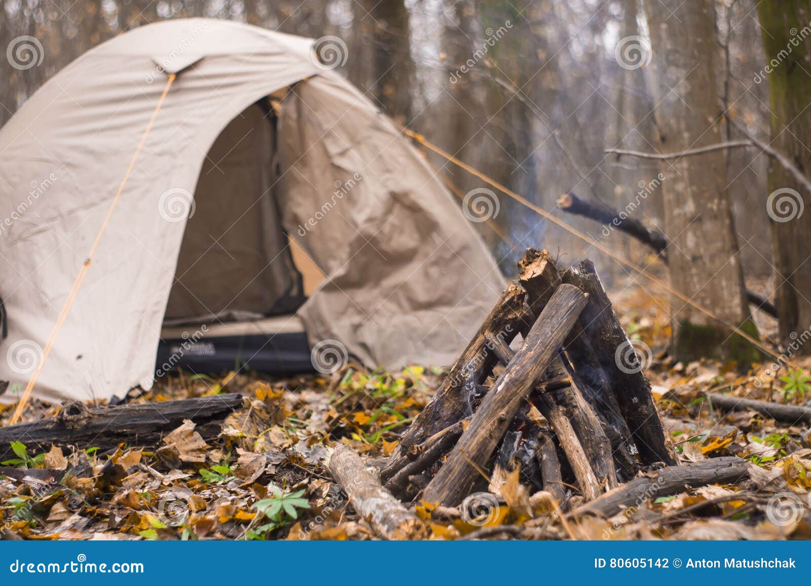 The Fire in the Forest in the Background Tent Stock Photo - Image of ...