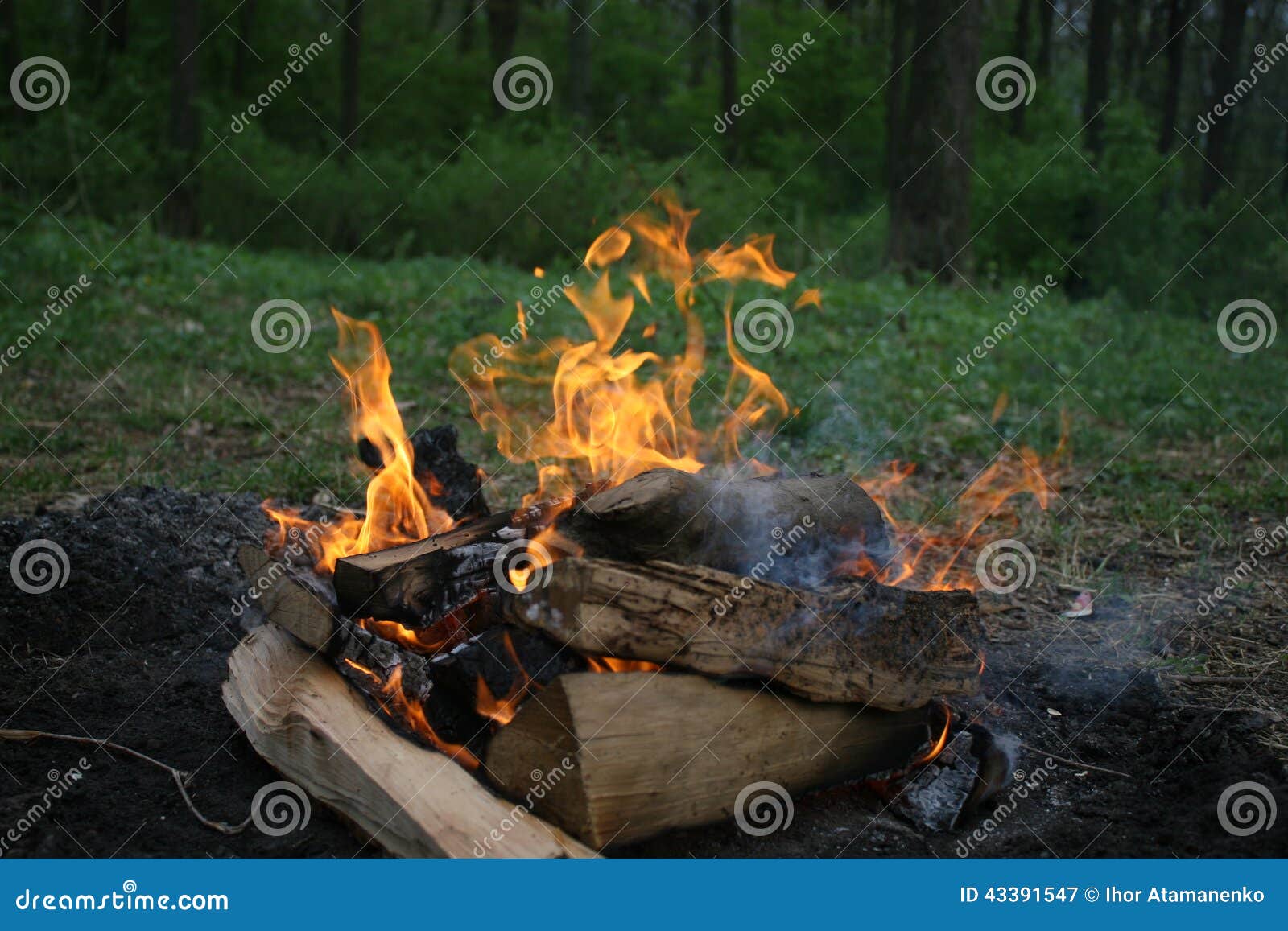 Fire in the forest stock image. Image of lighting, sparks - 43391547