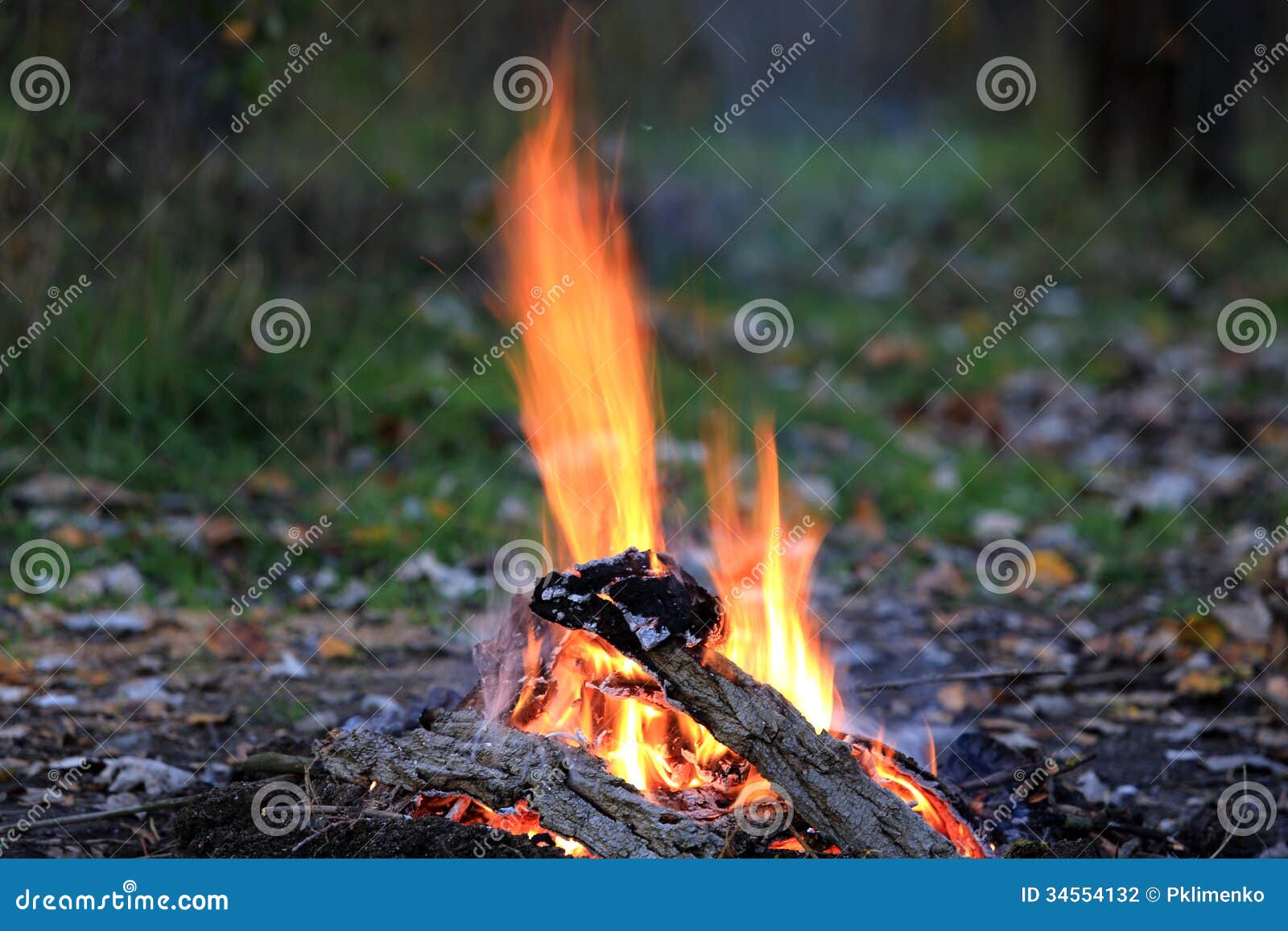 Fire in forest stock photo. Image of campfire, bright - 34554132