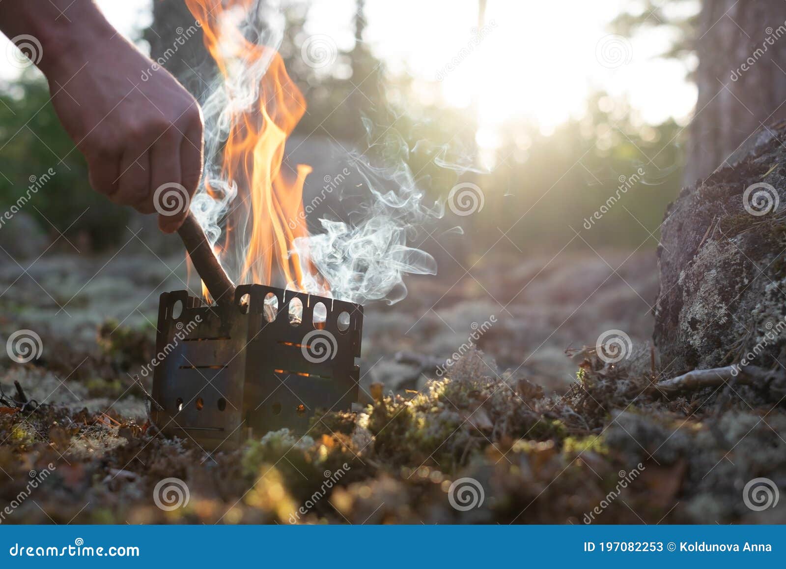 Fire in Forest Camp. Special Small Splinter Tourist Campfire Stock ...