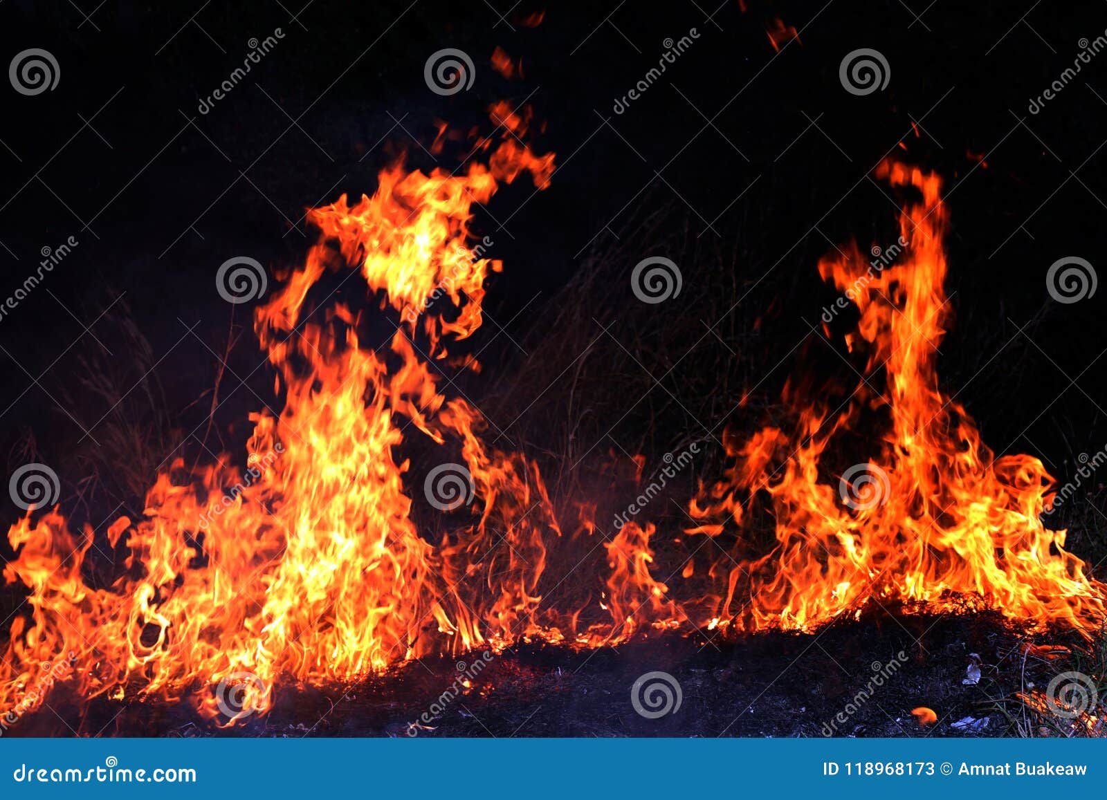 Fire, Forest Fire at Night, Fire Burning Hay Selective Focus Stock ...