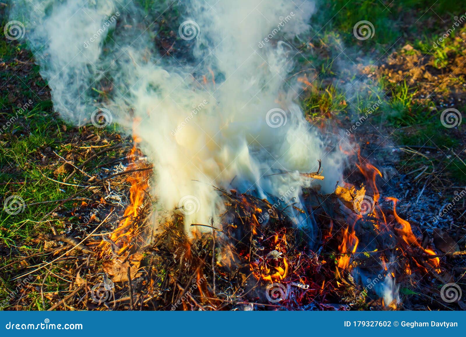 Fire in the Forest, Fire in the Garden Stock Photo - Image of flame ...