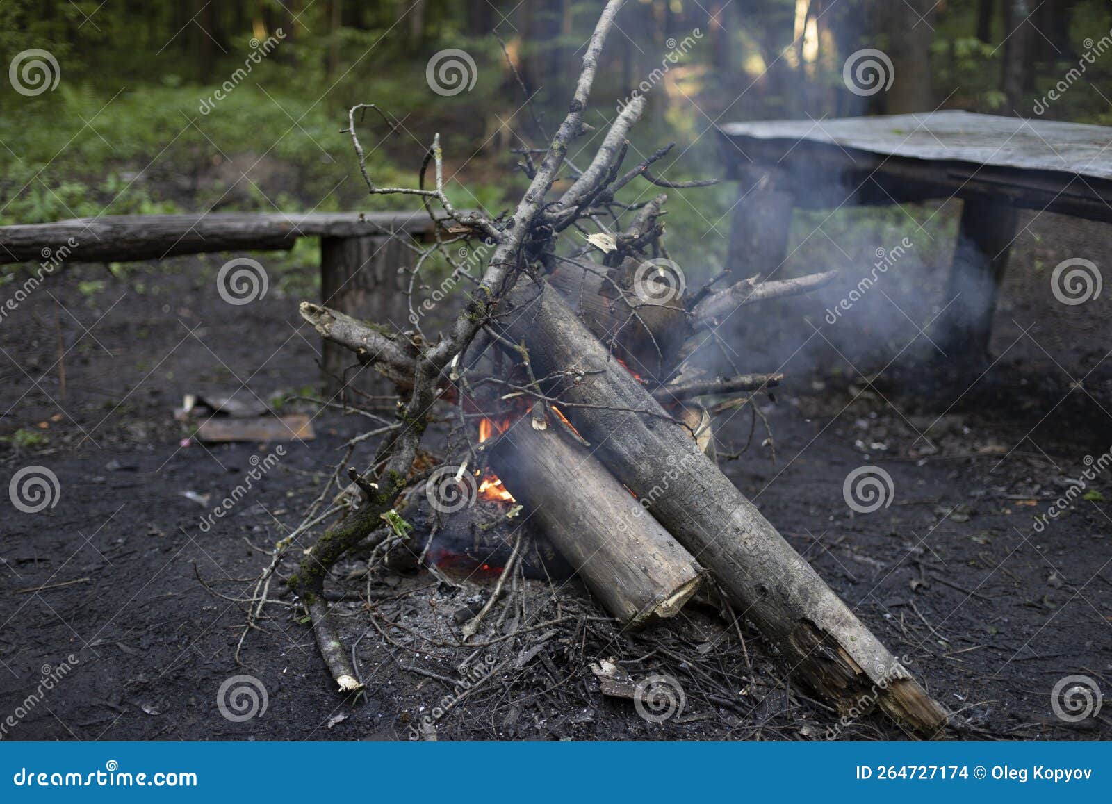 Fire in Forest. Large Bonfire of Logs. Smoke from Flames Stock Photo ...