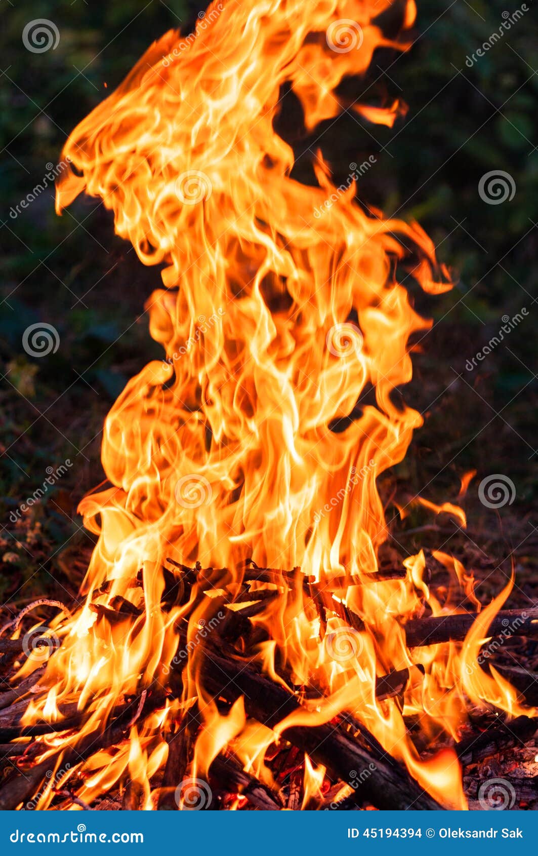 Fire in the forest stock photo. Image of light, illumination - 45194394