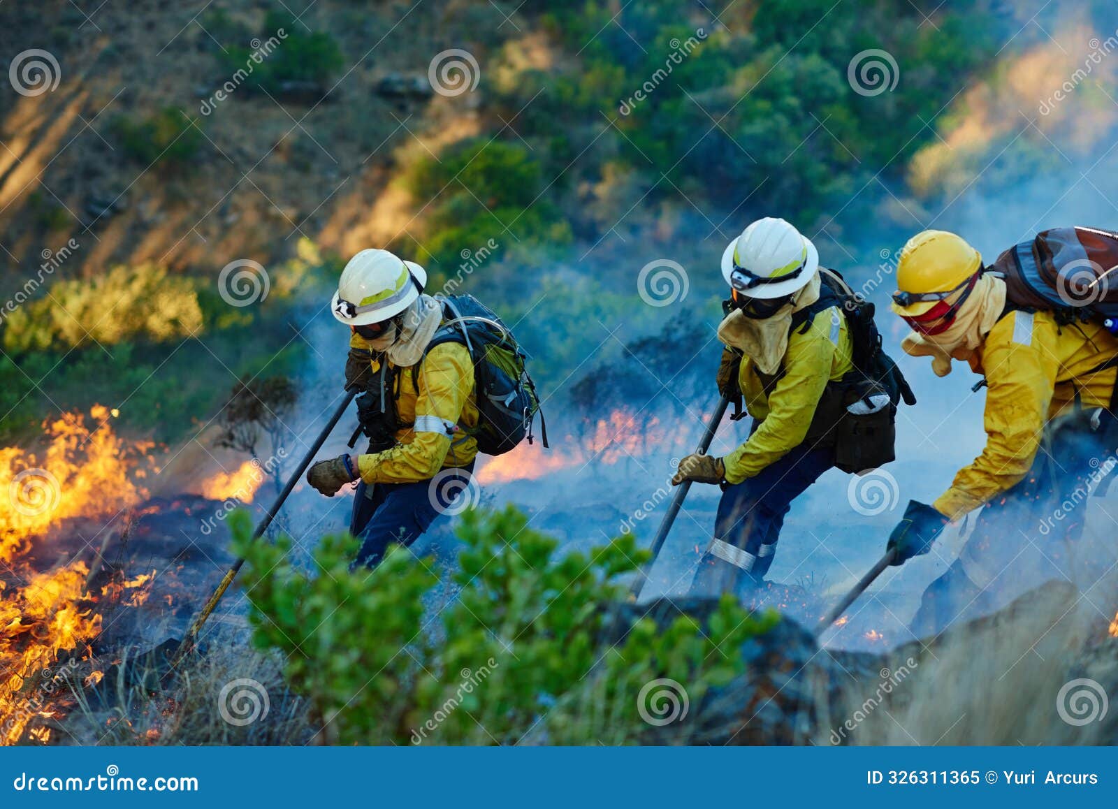 Fire, Forest and Men with Teamwork for Emergency, Disaster Management ...