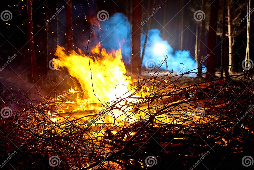 Fire in Forest, at Night. Close Stock Photo - Image of flame, outdoor ...