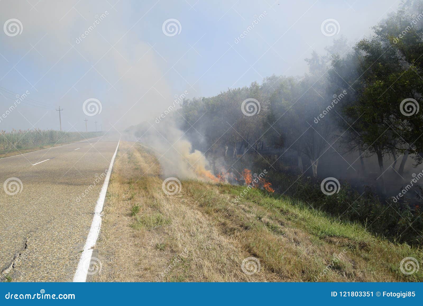 Fire in the Forest. Fire and Smoke in the Forest Litter. the Grass is ...
