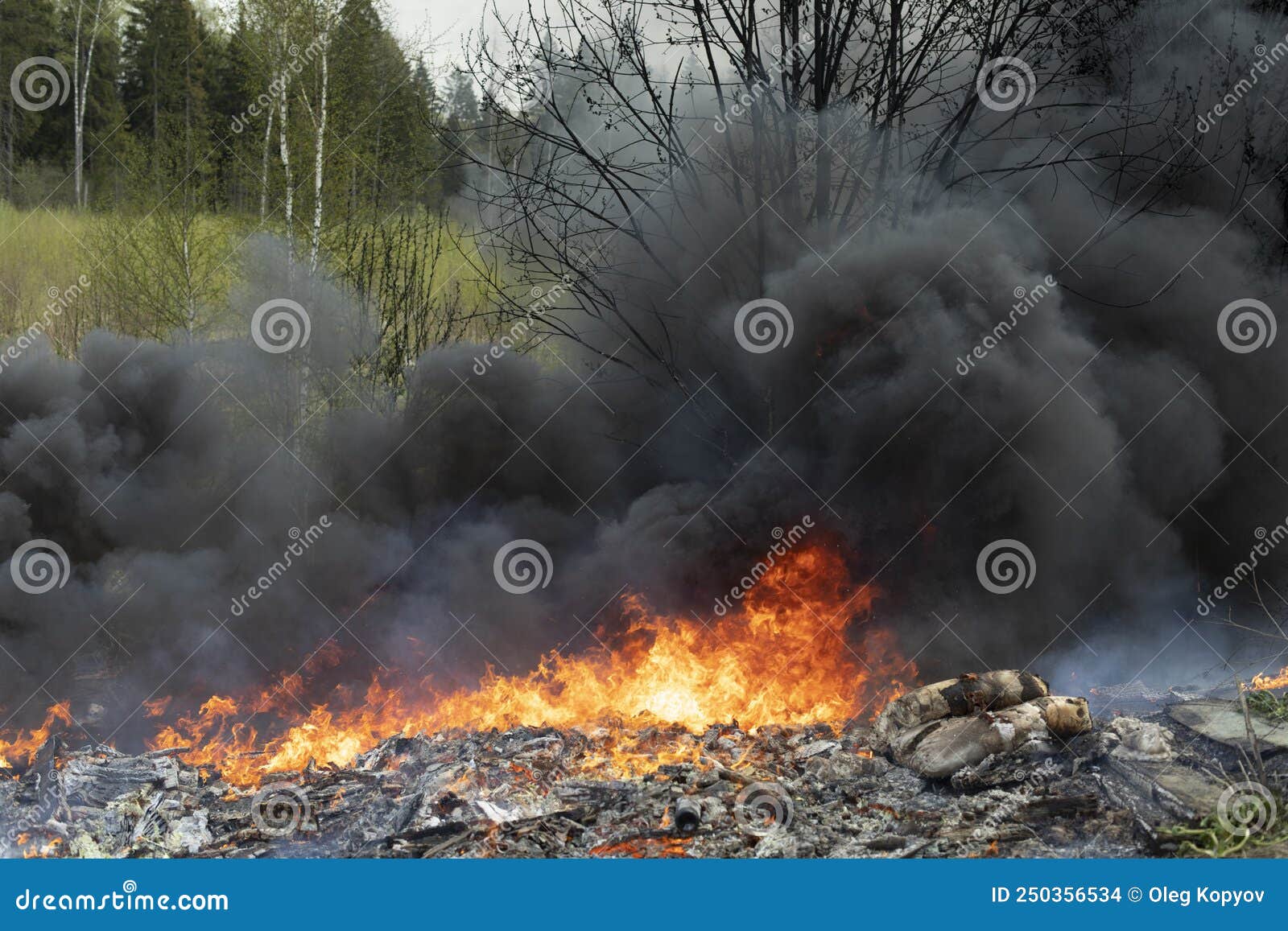 Fire in Forest. Smoke Over Trees Stock Photo - Image of drought ...