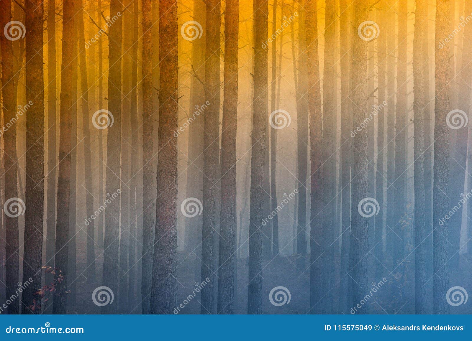 Fire in the Forest, Smoke, Smog, Burnt Forest. Stock Image - Image of ...